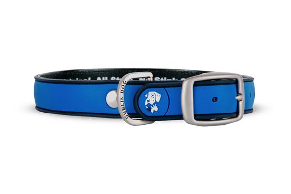 Dublin Dog Simply Solid Blue Ribbon Waterproof No-Stink Dog Collar ...