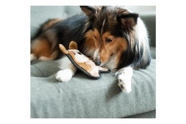 Invincibles Mini Puppy – Indestructible Dog